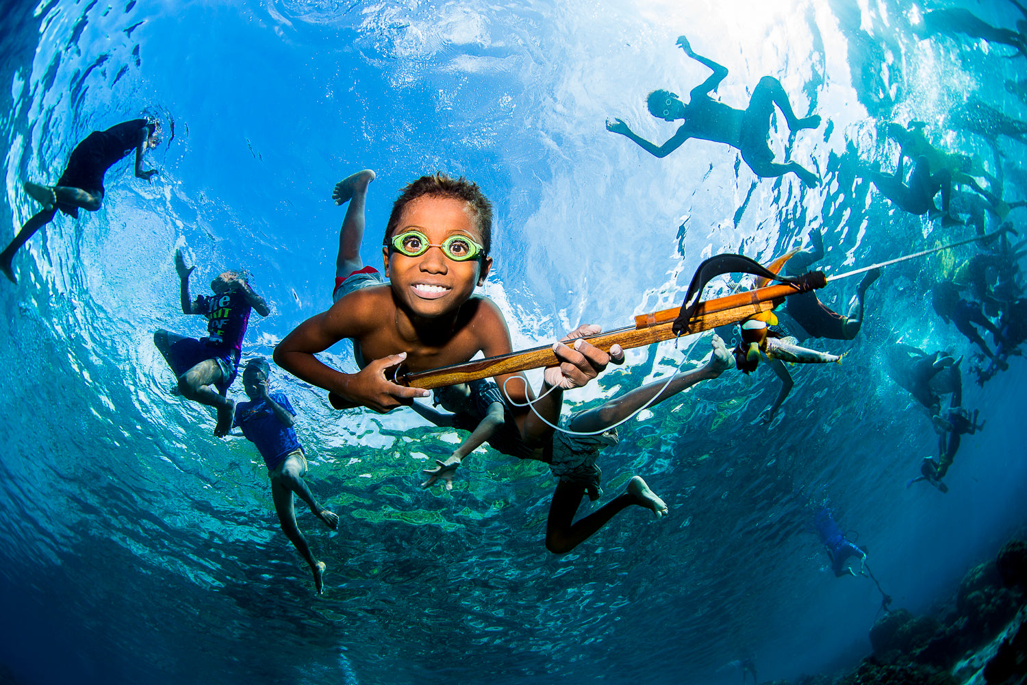 Nadia Aly - Wildlife & Underwater Photography – Nadia Aly Photography